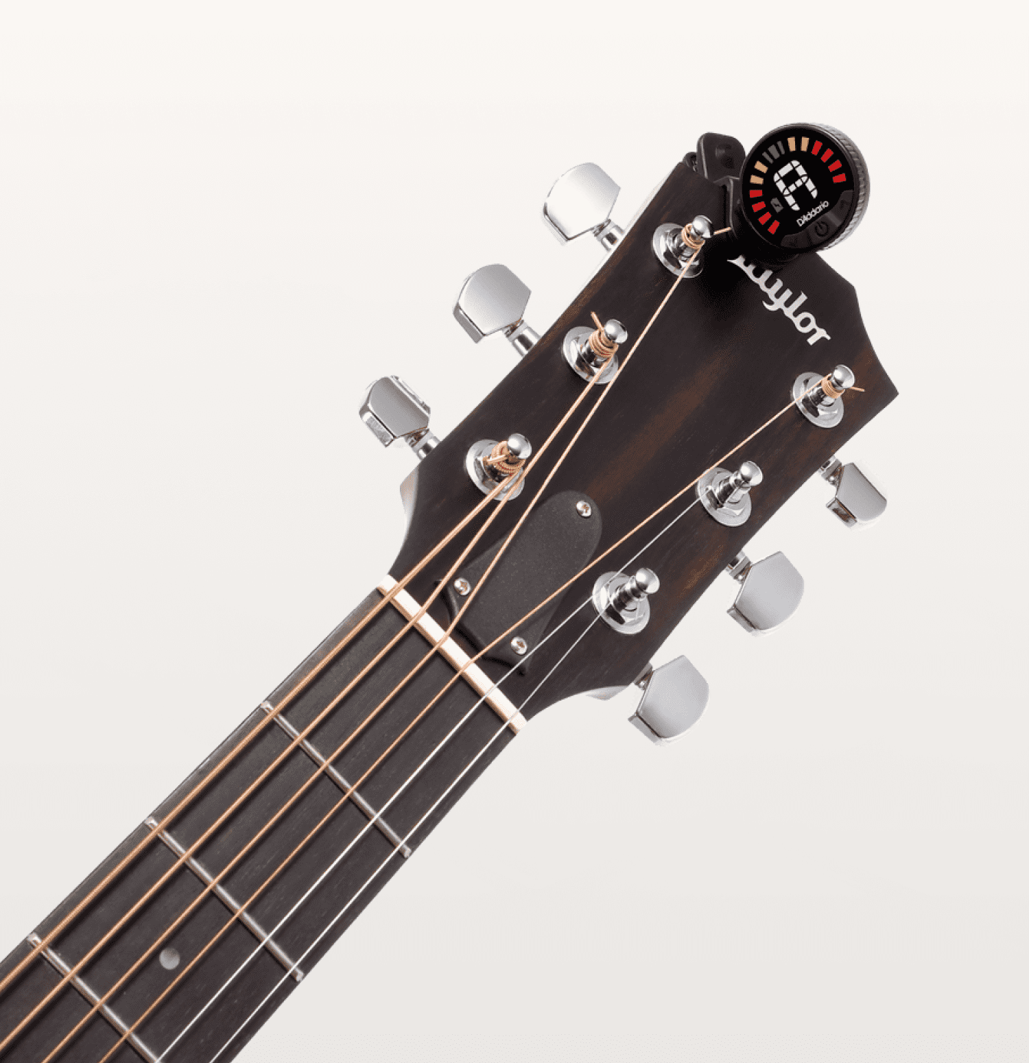 The 6 Guitar String Notes | D'Addario