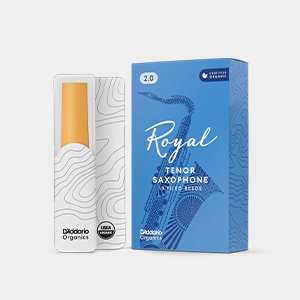 Saxophone Reeds – D'Addario