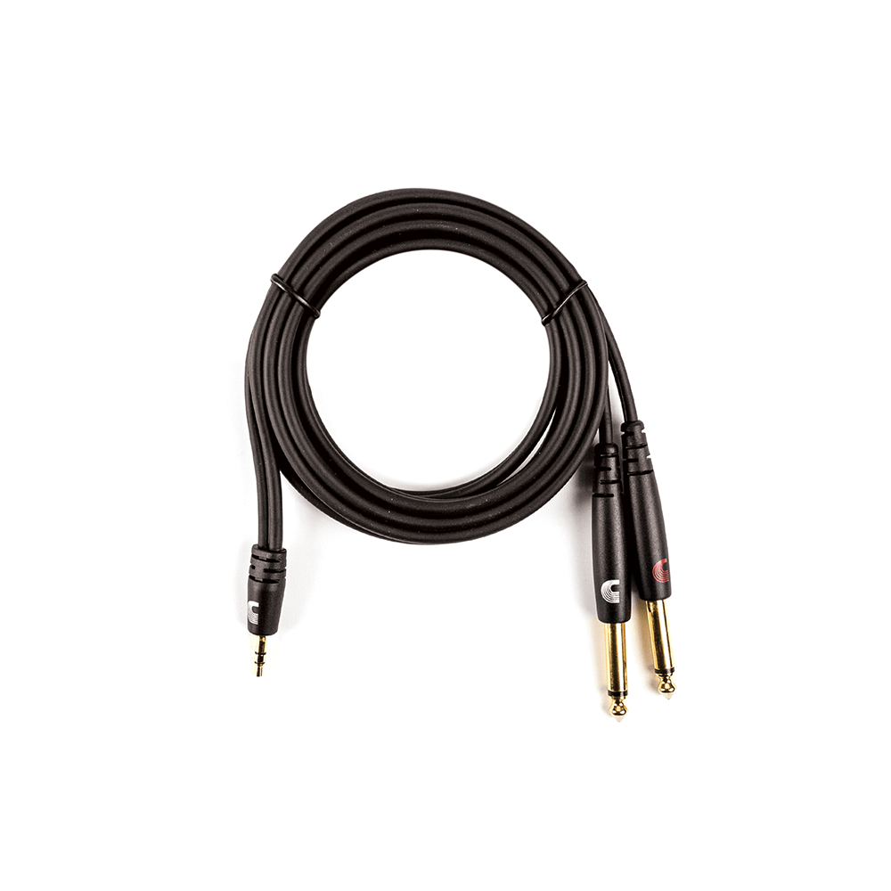 Dual Audio Cable | Accessories | D'Addario