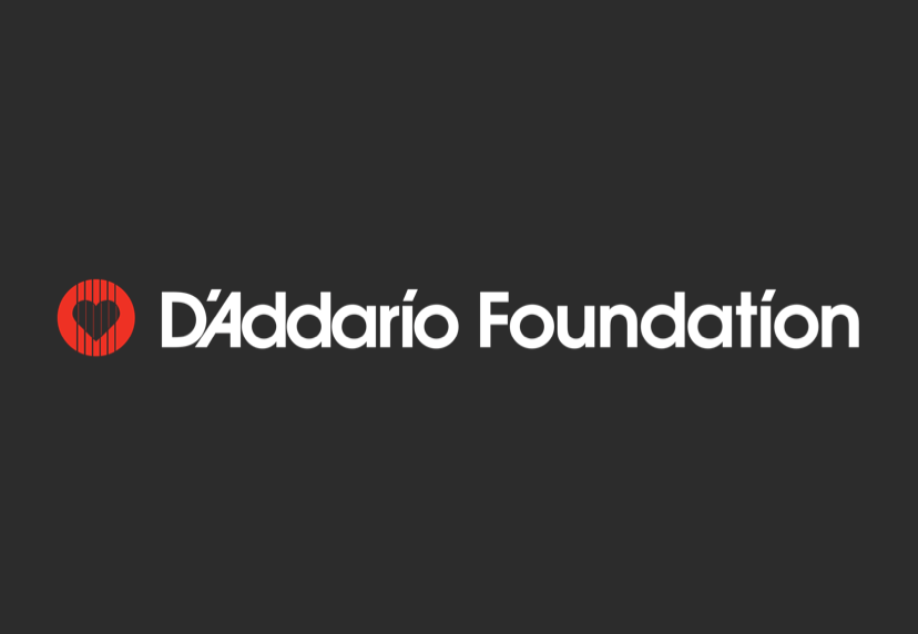 Logos & Brand Guidelines – D'Addario