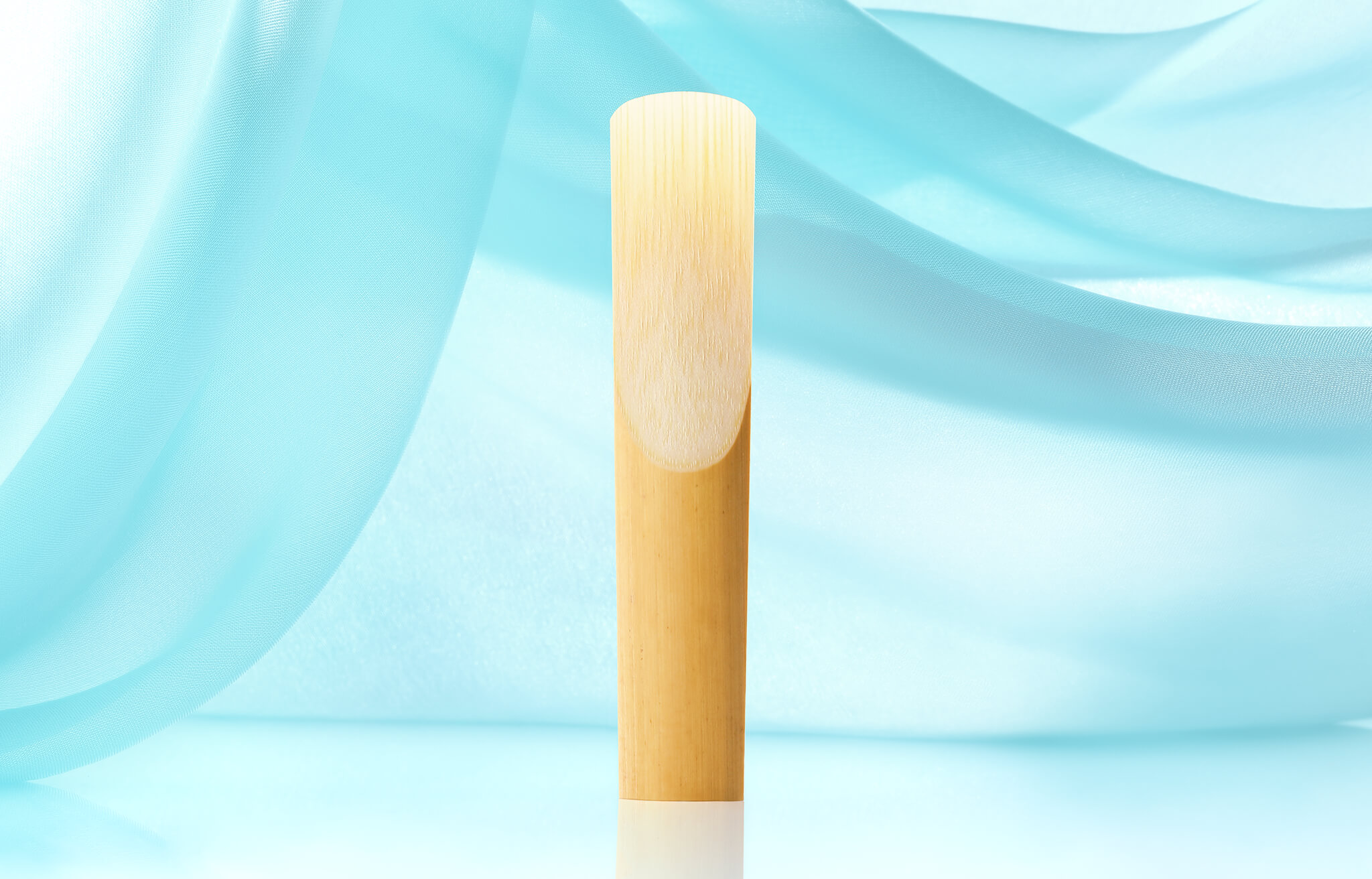 Clarinet & Saxophone Reeds, Mouthpieces & Other Accessories | Woodwinds ...