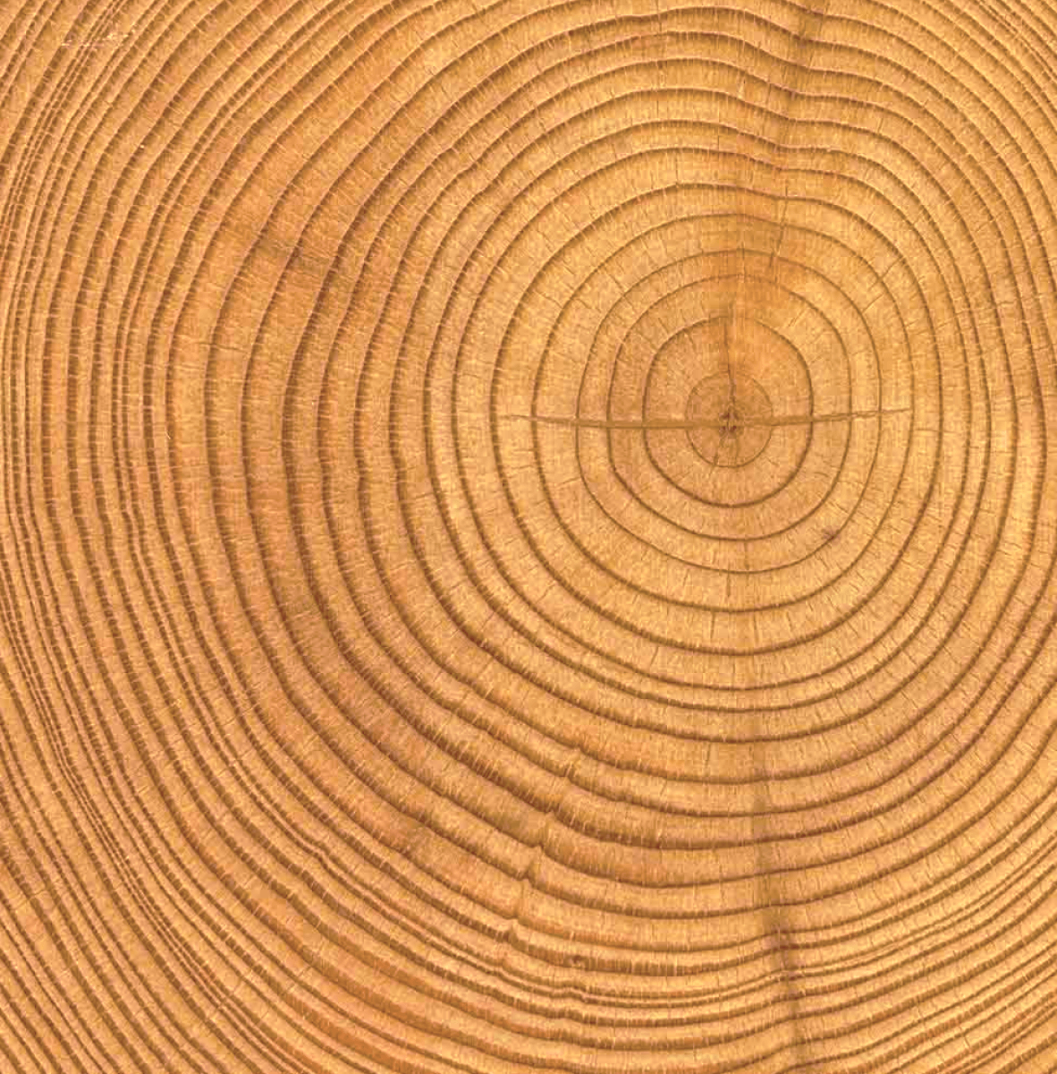 ProMark™ | Official Site | Drumsticks, Mallets & More