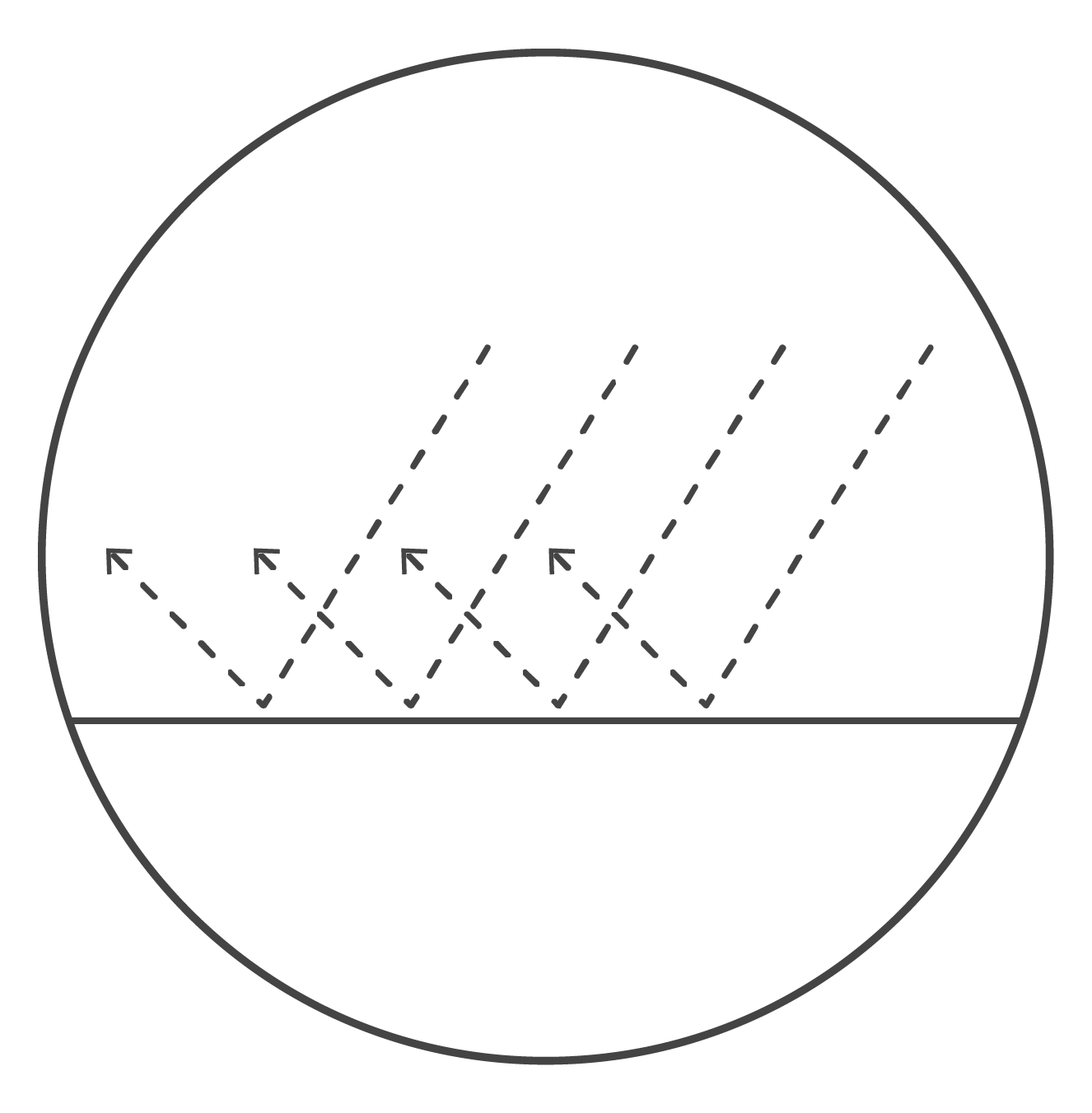 VENN | Advanced Synthetic Reed | Woodwinds | D'Addario