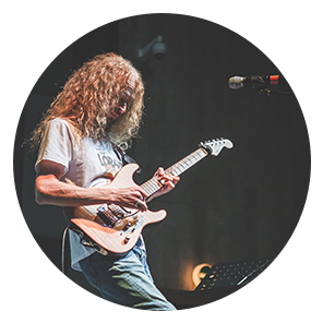 VENN | Advanced Synthetic Reed | Woodwinds | D'Addario